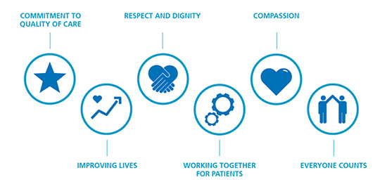 Core Values Nhs Professionals